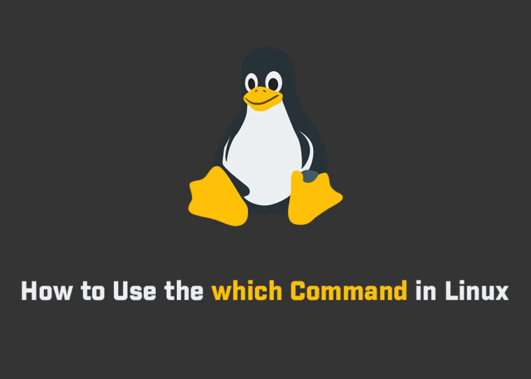 How to Create Files With Passwords in Linux - Linuxips