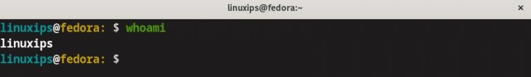 Whoami Command in Linux - Linuxips