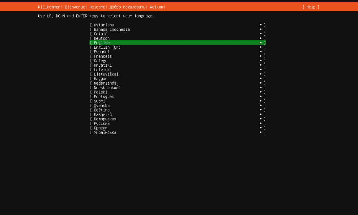 How To Install Ubuntu Server 2204 Lts Linuxips