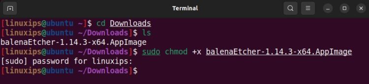 How To Use AppImage in Linux [Complete Guide] - Linuxips