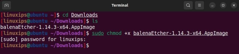 How To Use Appimage In Linux Complete Guide Linuxips